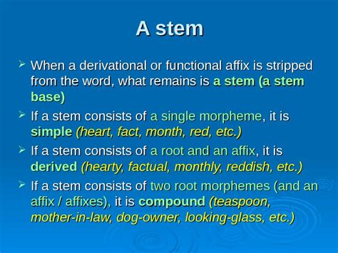 Morphological Structure Of English Words The Word