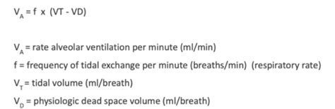 Week 2 Lectures 4 6 Flashcards Quizlet
