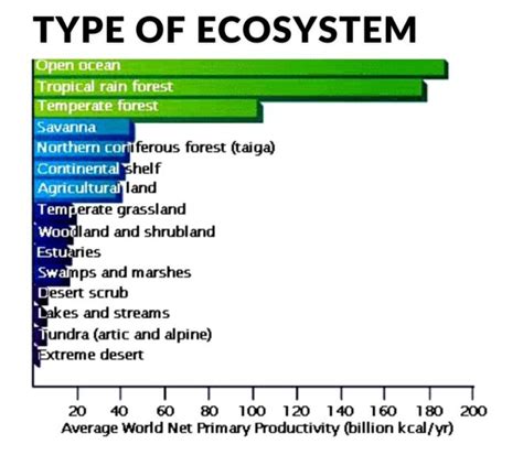 Net Primary Productivity