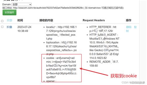 xss漏洞 （跨站脚本攻击） xss注入获取cookie的网站 csdn博客