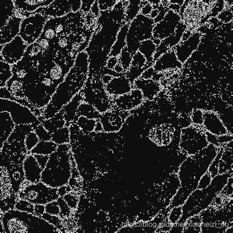 数字图像处理01：imadjust函数的pyhton实现python中实现imadjust Csdn博客