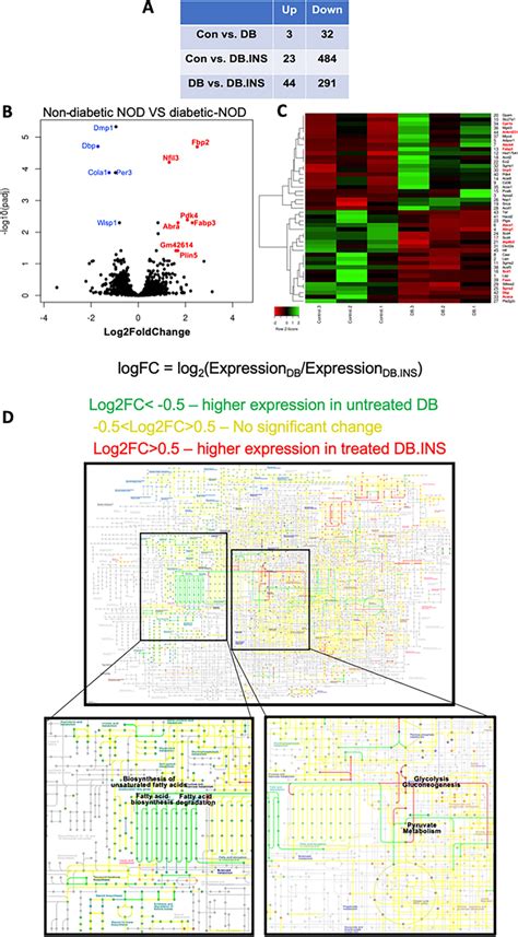 Rnaseq Data From Alveolar Bone Showing Differentially Regulated Genes