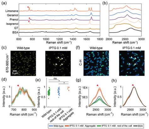 Hyperspectral Srs Imaging Unveils Chemical Aggregates Inside