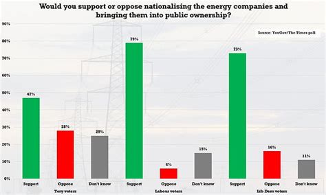 Nearly Half Of Tory Voters Support Renationalising Britains Energy