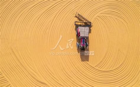 江苏宿迁晾晒丰收 人民图片网