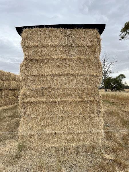 200mt Rye Clover Hay 530kg 8x4x3 Bales Farm Tender