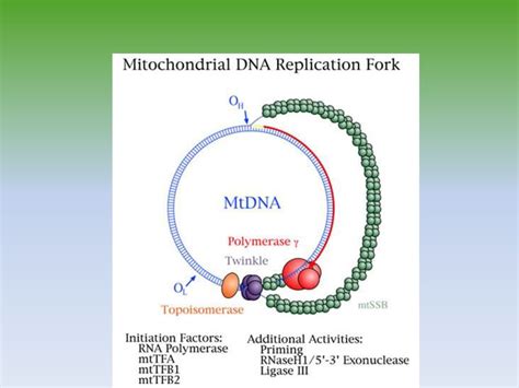 به نام پروردگار Ppt Download