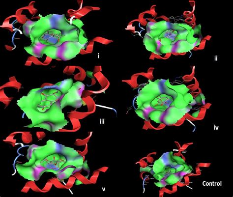 Binding Modes Of Ligand Molecules And Control Within The Binding Pocket Download Scientific