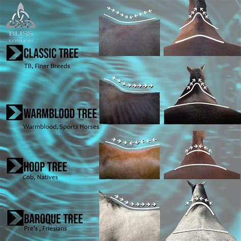 Tree Options Bliss Of London
