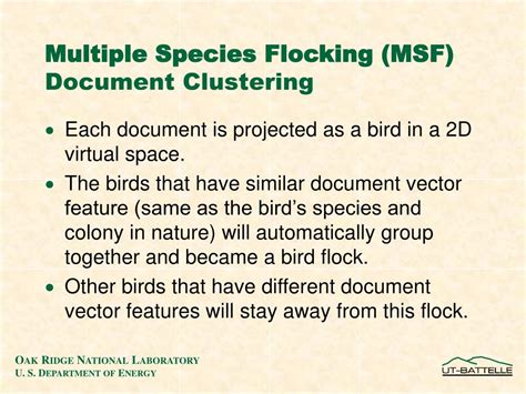 Ppt A Distributed Agent Implementation Of Multiple Species Flocking Model For Document