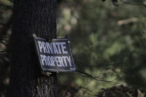 Premium Photo Close Up Of Information Sign On Tree Trunk In Forest