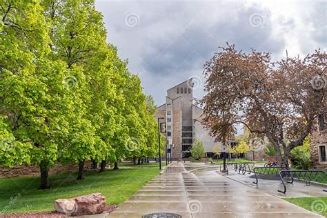 College Of Engineering And Applied Science At The University Of