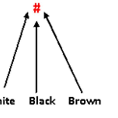 Domain Generalization Hierarchy Download Scientific Diagram