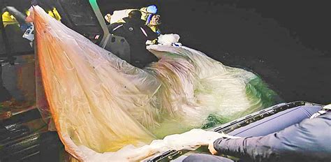 အမေရိကန်က အနိုင်ကျင့်သည့်အပြုအမူကိုသာဖော်ပြလျက်ရှိဟု တရုတ်ပြောကြား Myawady Webportal