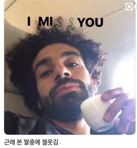 카톡짤 짤방모음 카톡짤방모음 웃긴짤방모음 214 네이버 블로그