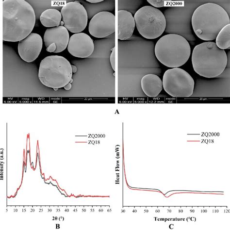 Scanning Electronic Micrograph 5000 X A X Ray Diffraction Curves Download Scientific