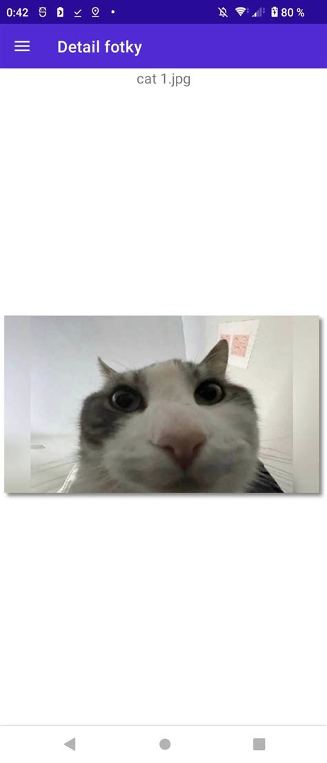 Image Shadow Is Away From The Photo On Horizontal Screen Rotation