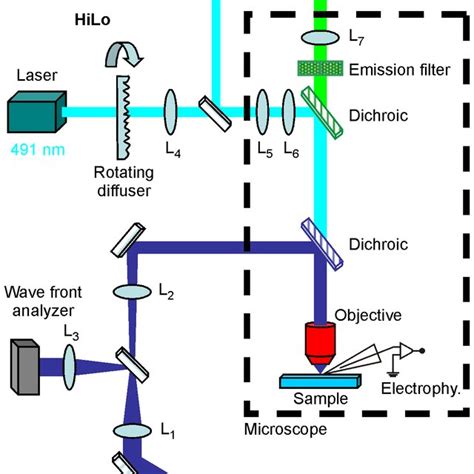 Optical Sectioning With Hilo Microscopy Ac Speckle A And Uniform Download Scientific