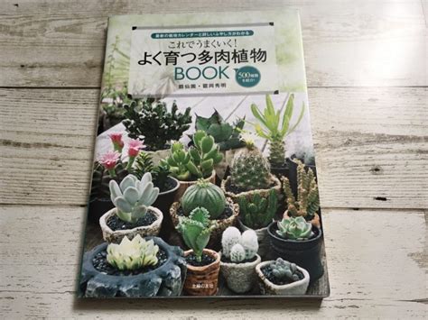 多肉植物の植え替えとおすすめの多肉本