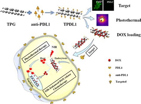 Multifunctional Reduced Graphene Oxide Based Nanoplatform For