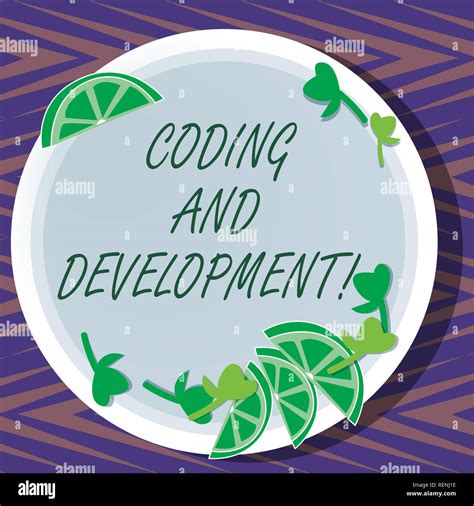 Word Writing Text Coding And Development Business Concept For To