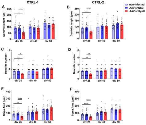 Synapsin Iii Regulates Dopaminergic Neuron Development In Vertebrates Pmc
