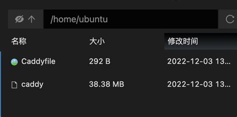 搭建富强naive并使用macos的qv2ray Bossxu