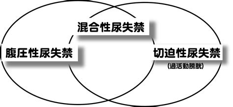 腹圧性尿失禁｜神戸市東灘区 摂津本山｜いしむら腎泌尿器科クリニック