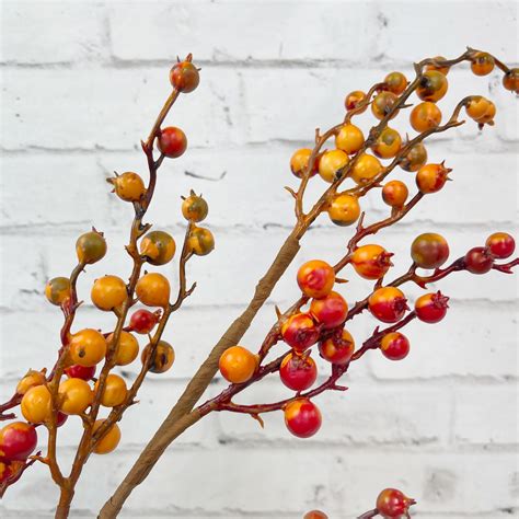 Orange Berry Stem Keleas Florals