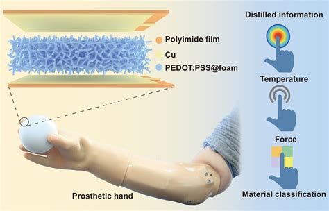 A Machine Learning‐assisted Multifunctional Tactile Sensor For Smart Prosthetics Li 2023