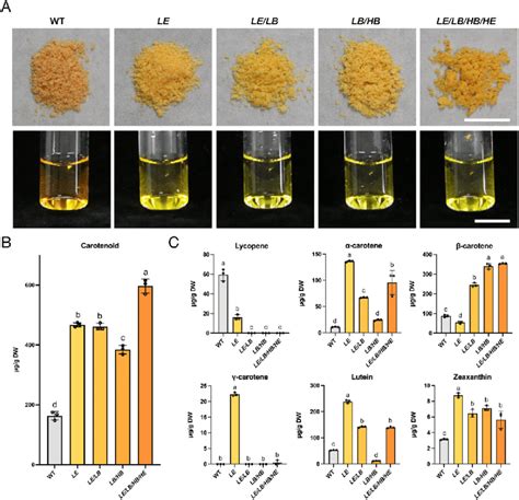 Characterization Of Lutein And Zeaxanthin Enriched Tomatoes A Download Scientific Diagram