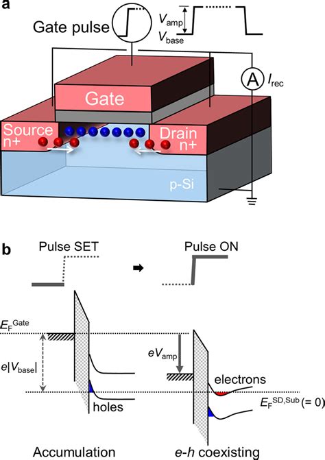 Formation Of Electron Hole Coexisting System At Si Mos Interfaces A Download Scientific Diagram