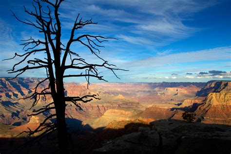 90 Spectacular Views Of The Grand Canyon Infinite World Wonders
