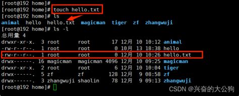 Linux常用指令【文件目录操作】 阿里云开发者社区