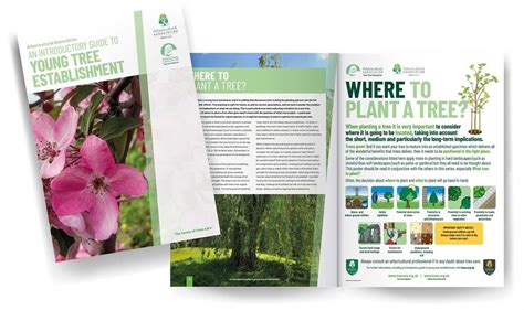 New Tree Care Guide Published By The Arboricultural Association HortWeek