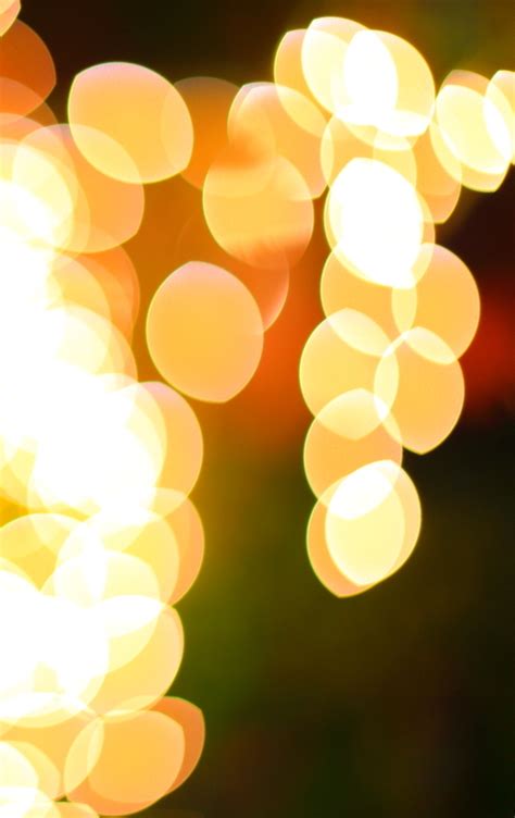 유토이미지 아름다운 보케