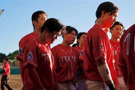 硬式野球部が首都大学リーグ秋季入れ替え戦に勝利し、1部リーグ昇格を成し遂げました 帝京大学