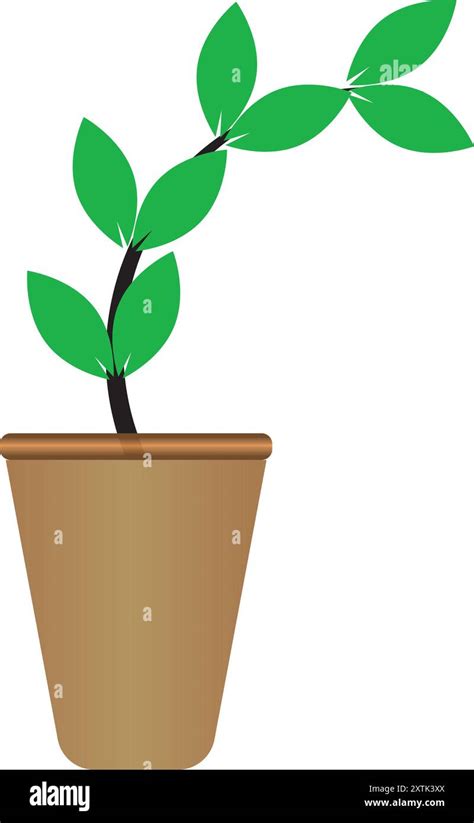 Beautiful Plant Design Stock Vector Image And Art Alamy