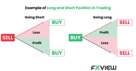 Fxview True ECN Broker