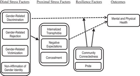 Gender And Sexuality Midterm Flashcards Quizlet