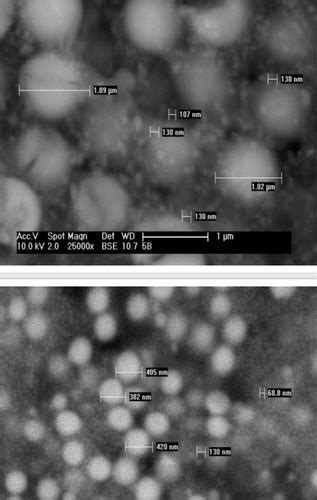 Objects And Scenes Flashcards Quizlet