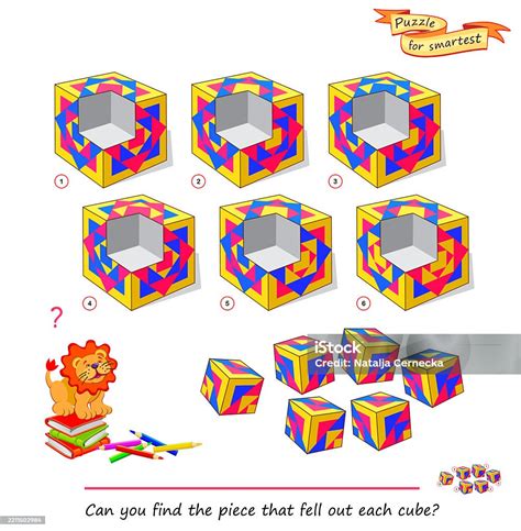 가장 똑똑한 사람들을 위한 논리 게임 큐브마다 떨어진 조각을 찾을 수 있나요 3d 퍼즐 공간적 사고 능력 개발 두뇌 티저 책