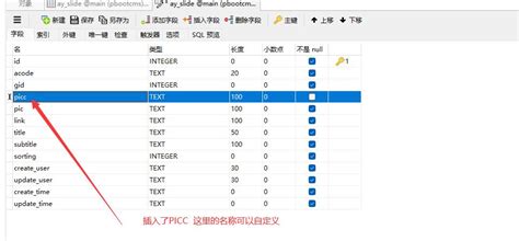 Pbootcms轮播图二开上传多张对应图片或视频 Nice源码网