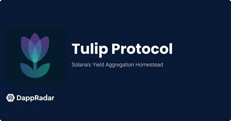 Tulip Protocol Defi Overview Tvl Analysis Dappradar