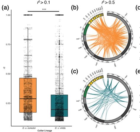 New Paper In Evolution On Evolutionary Processes Shaping Hybrid Genomes