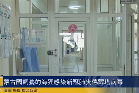 蒙古国饲养的海狸感染新冠肺炎德尔塔病毒凤凰网视频凤凰网
