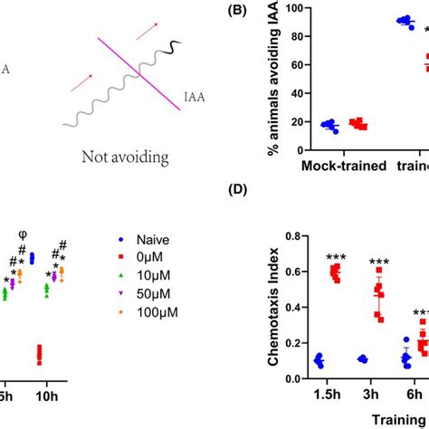 Experiment Flow Chart A Schematic Of Aversive Olfactory Learning Download Scientific Diagram