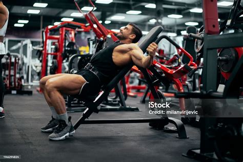 운동 체육관 웨이트 트레이닝 보디 빌딩 체육관에서 훈련 하는 보디 건강한 생활방식에 대한 스톡 사진 및 기타 이미지 건강한 생활방식 결심 근육 강화운동 Istock
