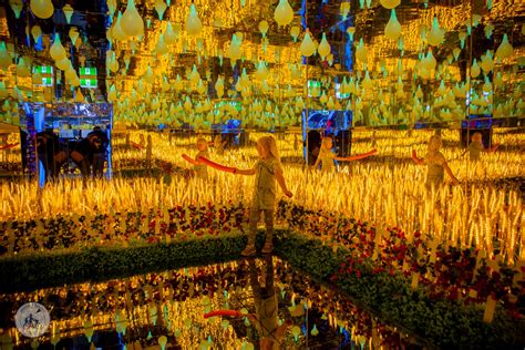 Meta Art World Melbourne Immersive Metal Art And Interactive