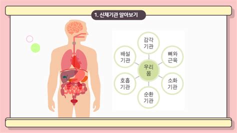 수업자료 건강의 이해 5학년 보건수업 신체기관의 이름과 기능 Ppt 네이버 블로그